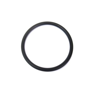 Oase BioTec 18000 Replacement Inlet O-Ring - PondUSA.com